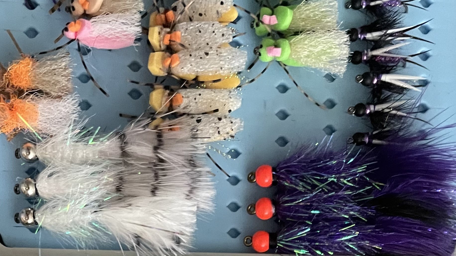 Fall Fishing in Colorado's Flat Tops Wilderness - CHASING NATIVES