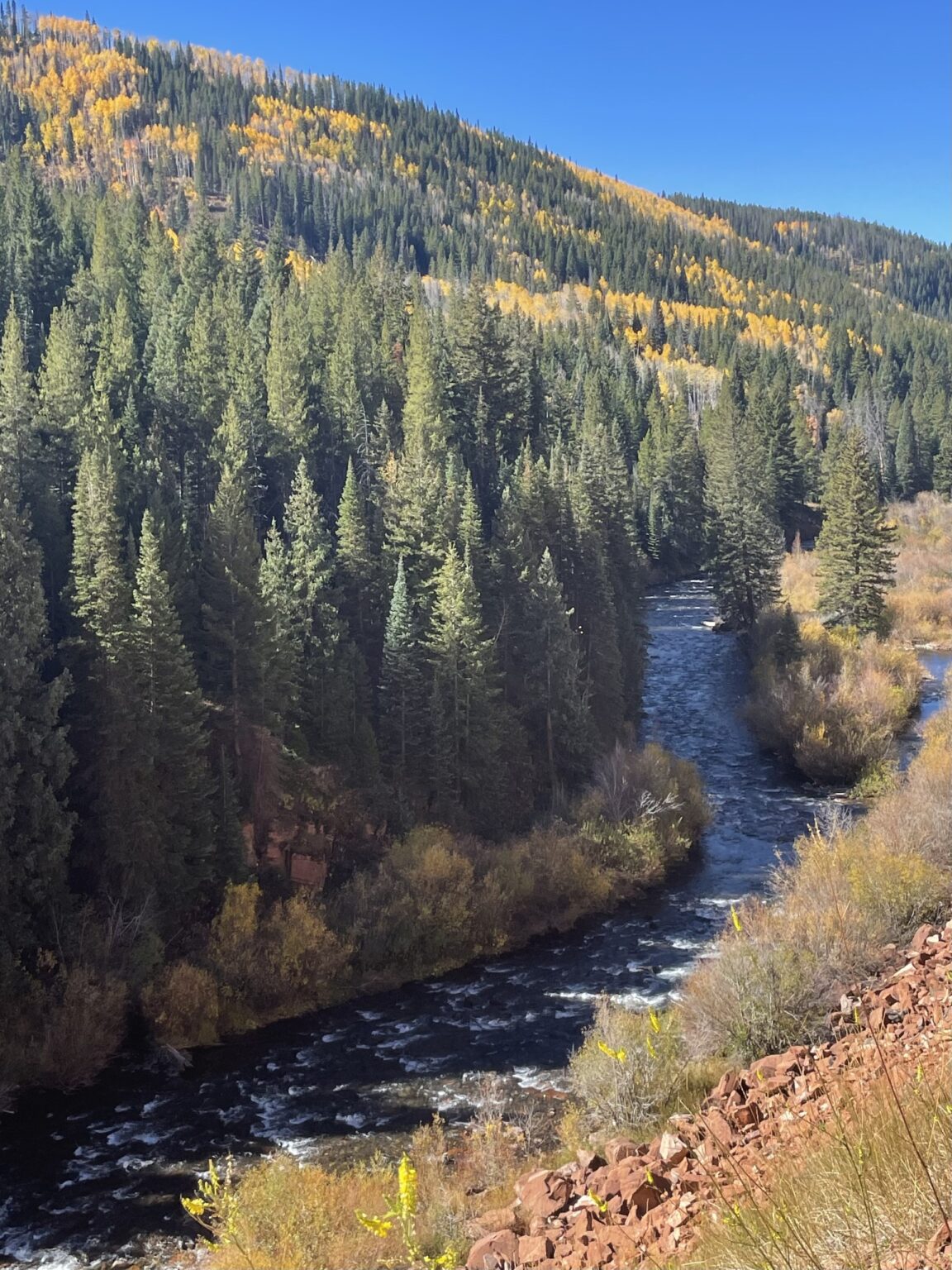 Fall Fishing in Colorado's Flat Tops Wilderness - CHASING NATIVES