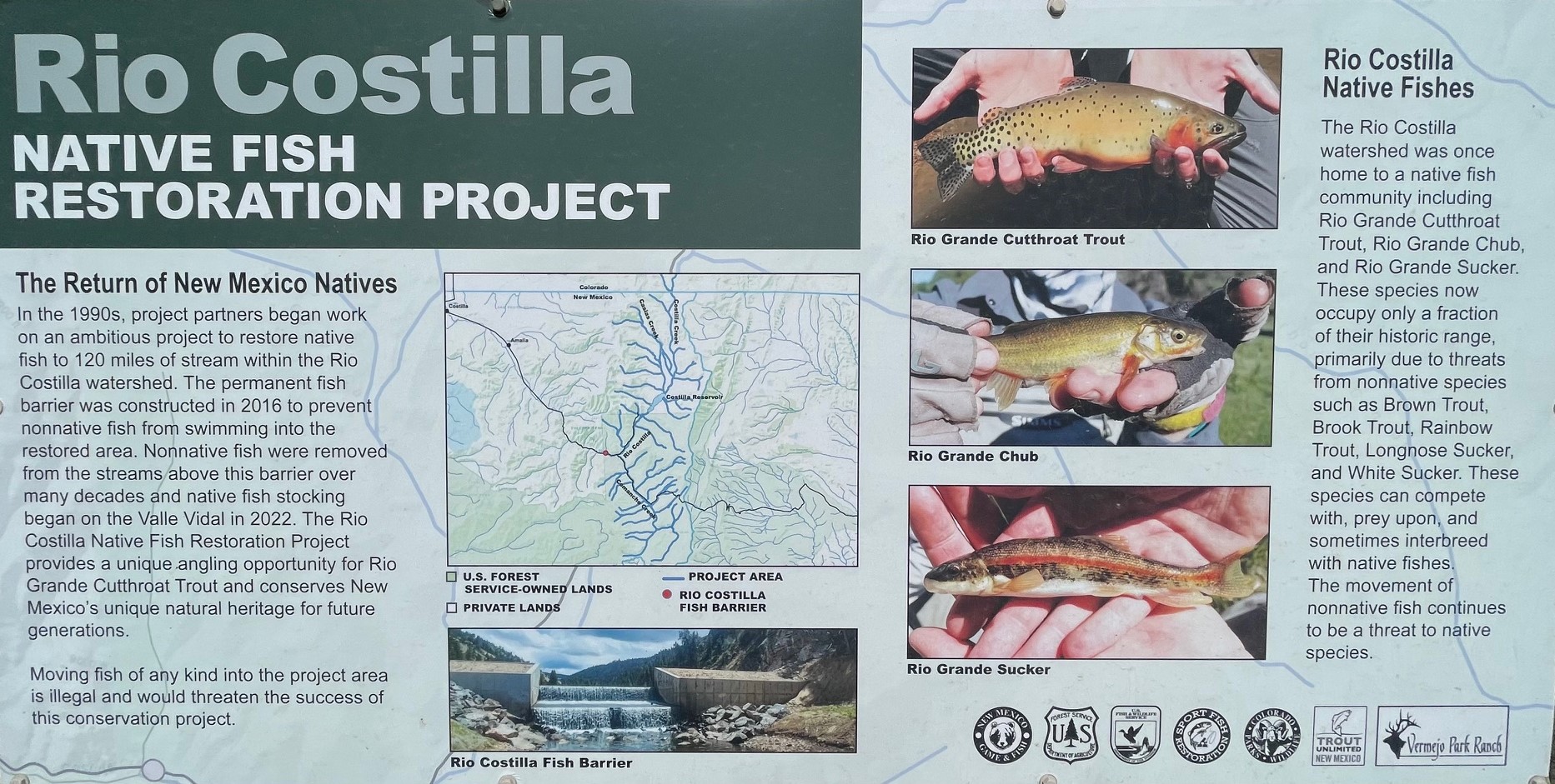 Rio Grande Cutthroat in Northern New Mexico - CHASING NATIVES